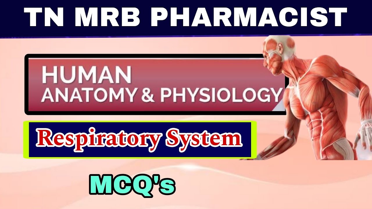 Respiratory system | Anatomy and Physiology MCQs Part-1| MRB PHARMACIST ...