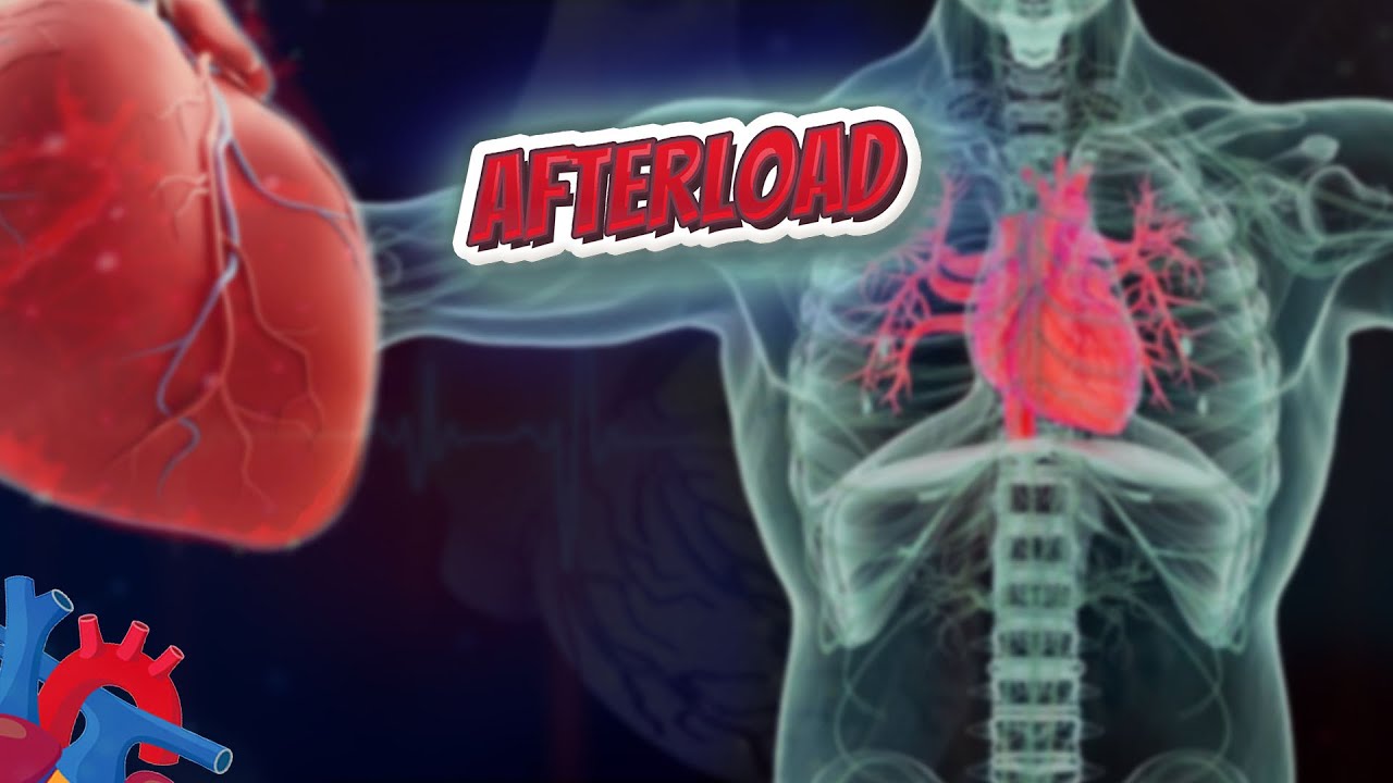 Afterload (Human Heart ️ & Cardiology) ️🔊 - YouTube