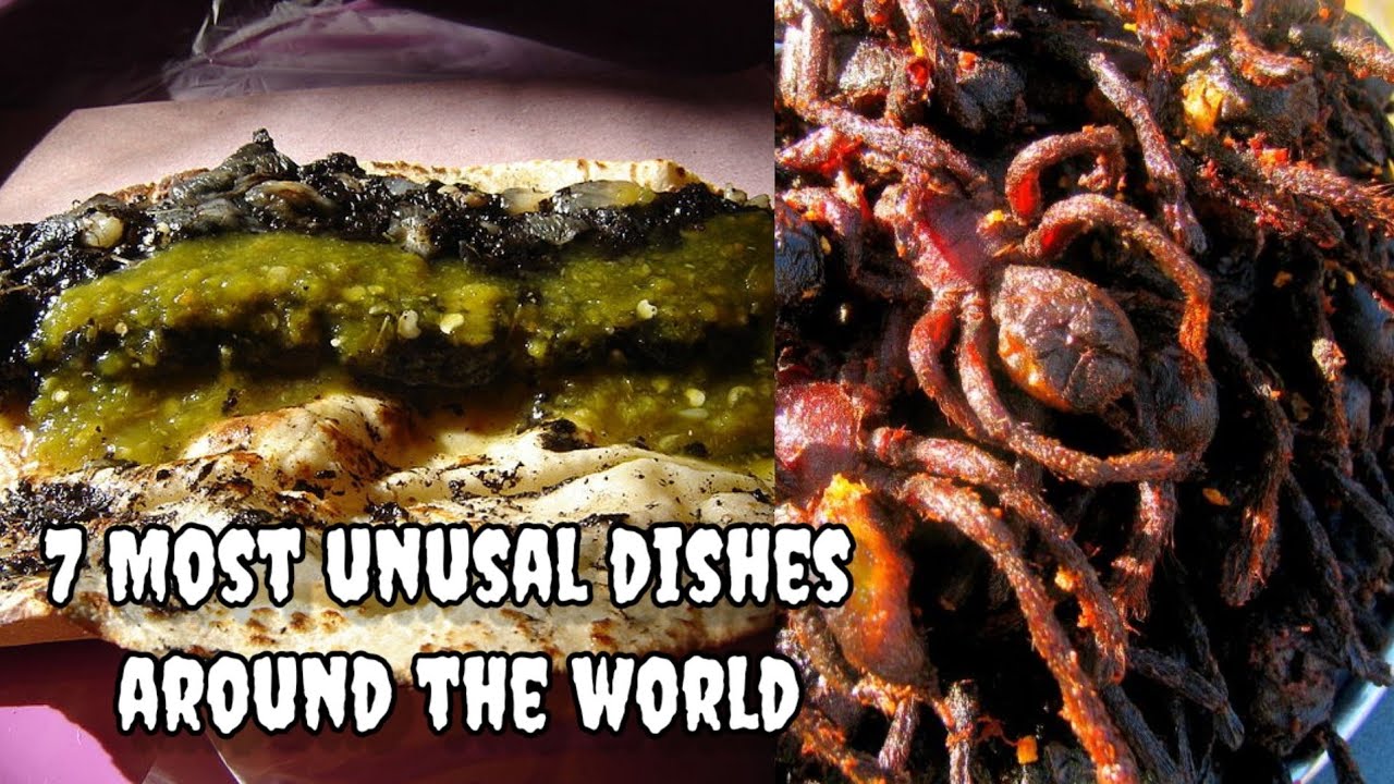 7 Most Unusual dishes in the world. - YouTube