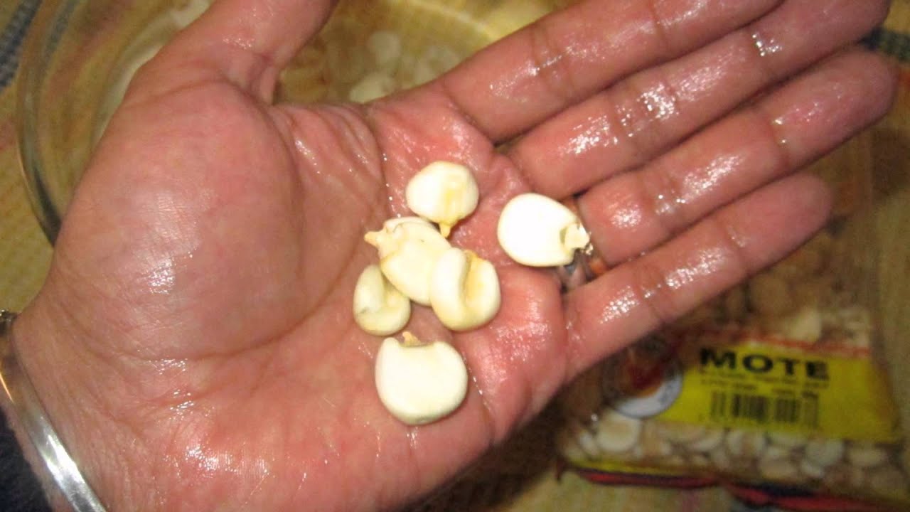 COMO COCINAR EL MOTE DE UNA FORMA MAS RAPIDA... - YouTube