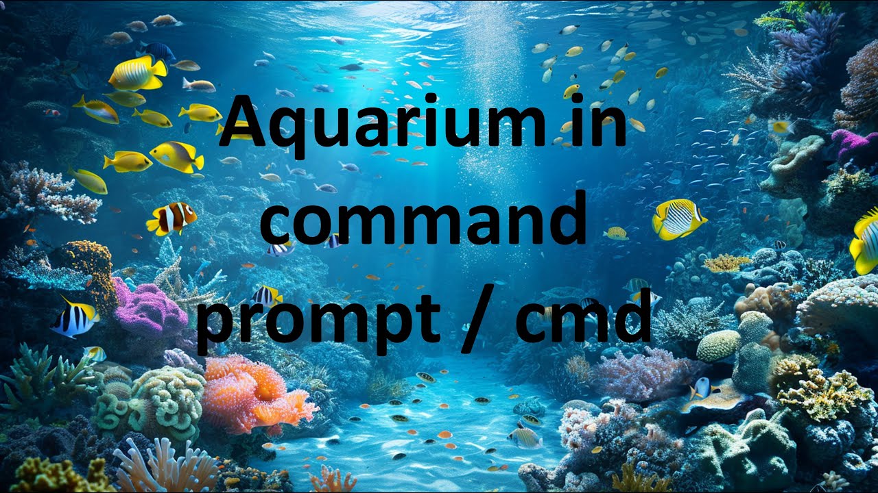 Aquarium in command prompt. #computertricks #cmd #windows #computer # ...