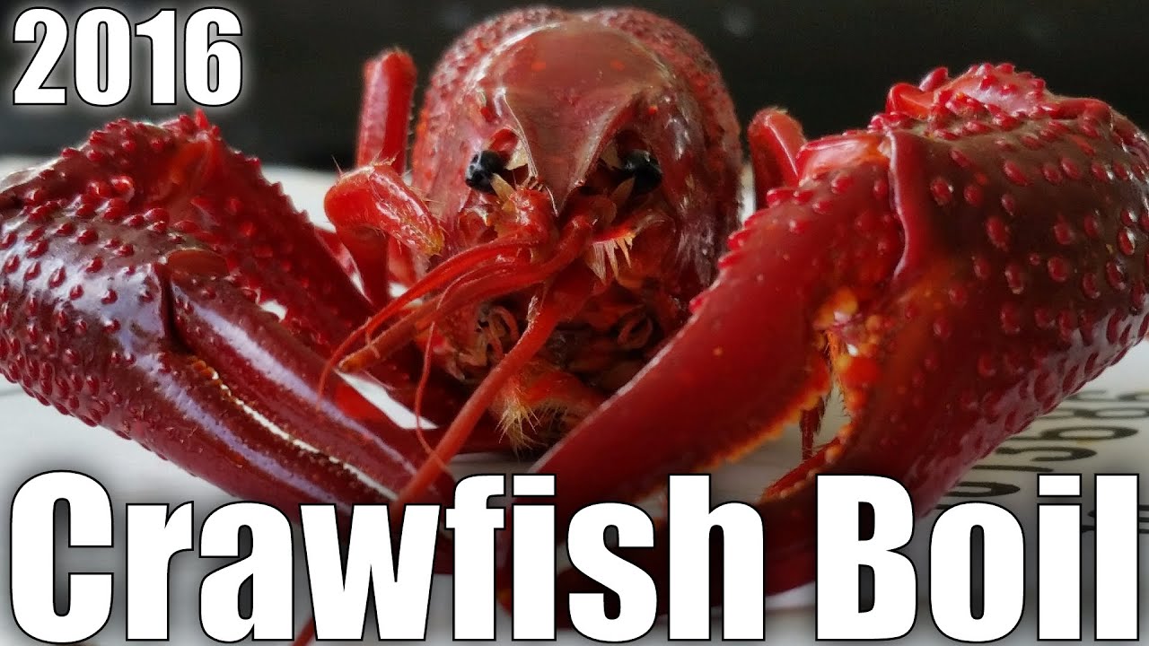 How To - Louisiana Cajun Crawfish Boil - 2016 HD - YouTube