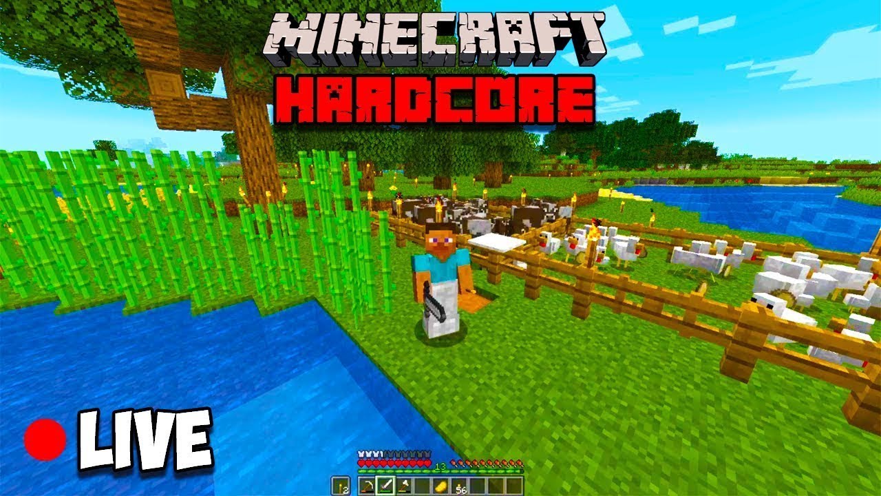 MINECRAFT HARDCORE LIVE #2 - YouTube