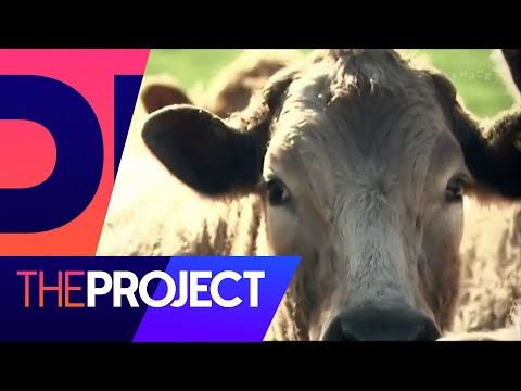 Why homekill is booming | The Project NZ