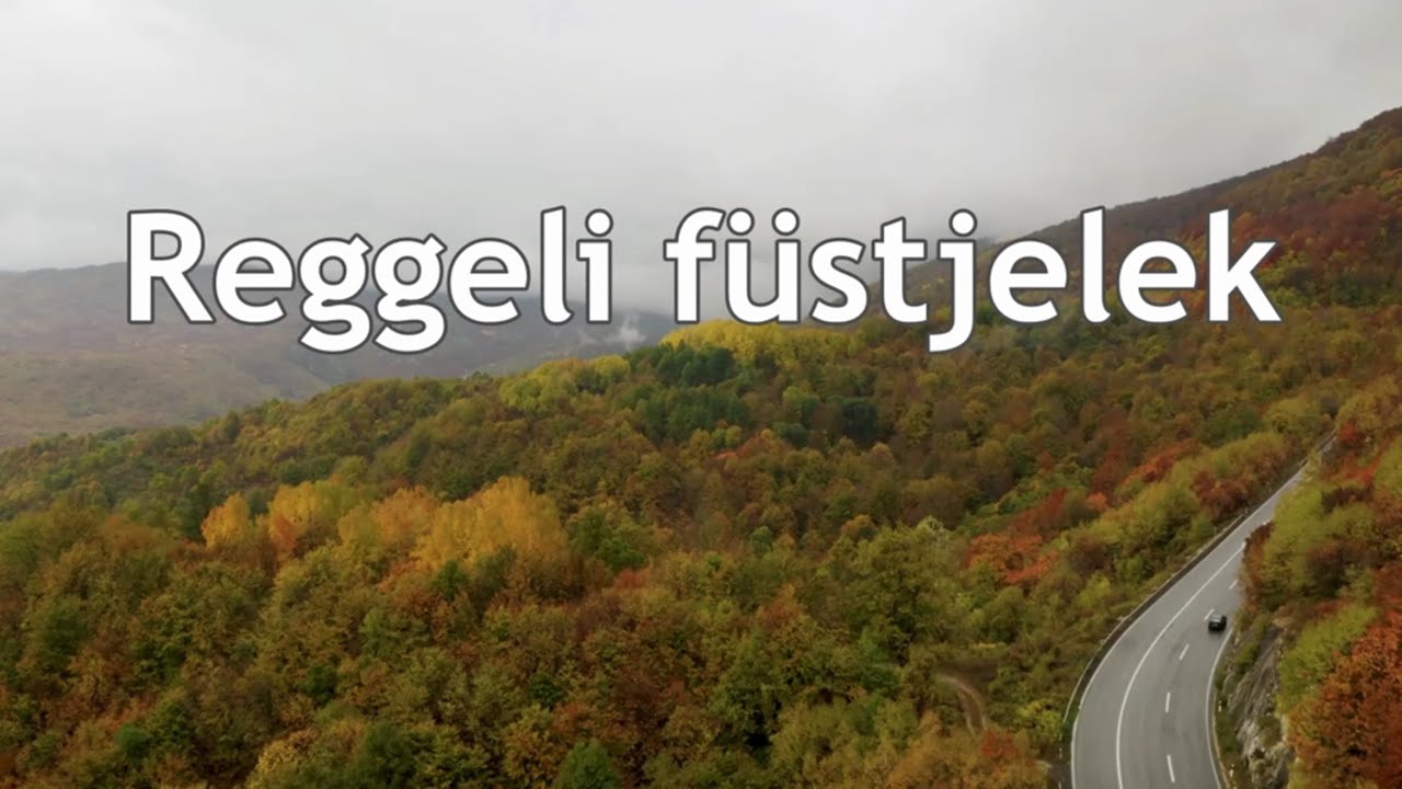 Reggeli füstjelek - MI AZ IDŐ? - 2022.11.28. - (France Mutombo) - YouTube
