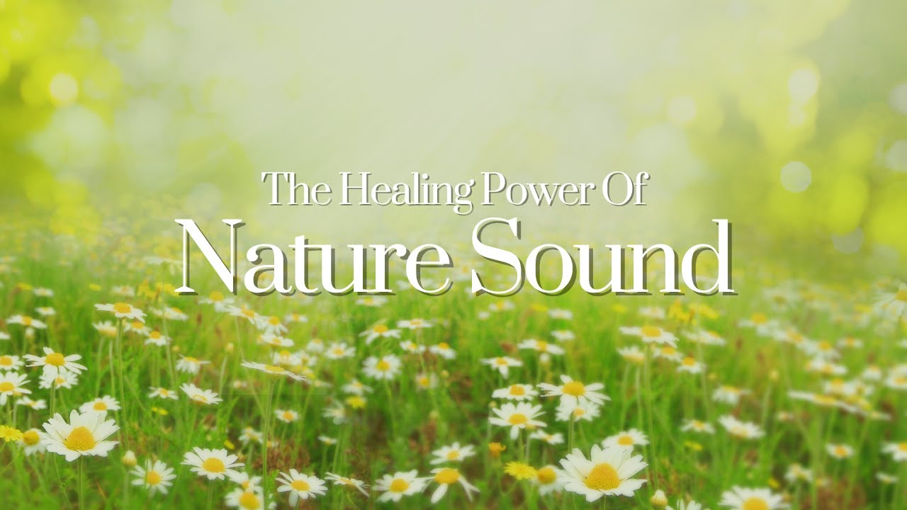 Relaxing, calming, soothing , stress relieff - YouTube