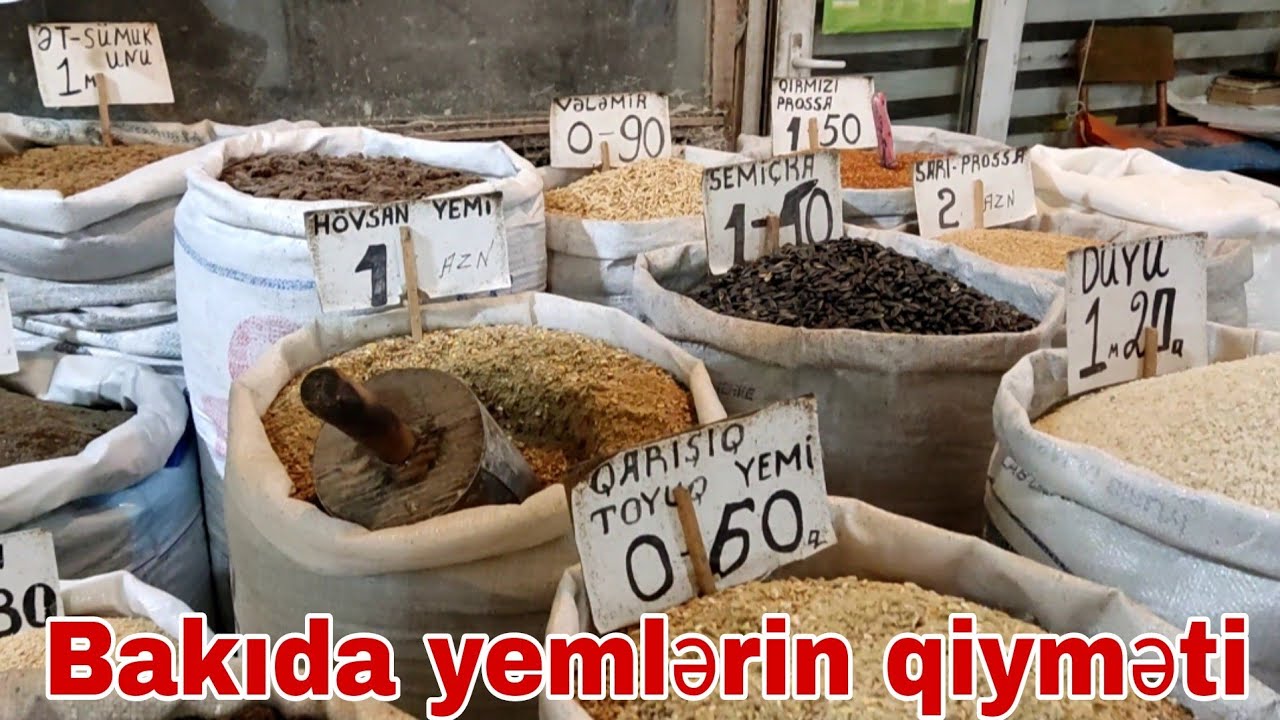 Bakıda yemlərin qiyməti bəs rayonlarda ??? #mubarizemintv #bugda #arpa ...