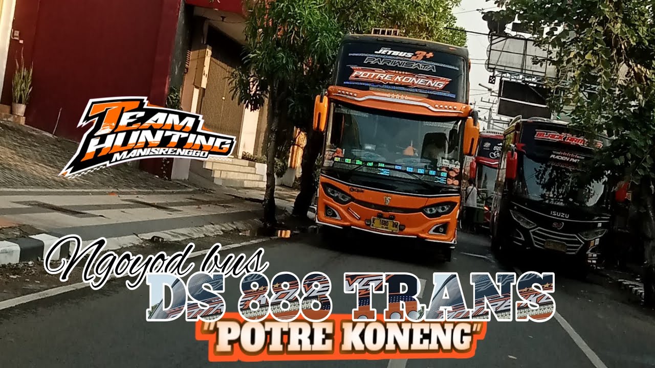 NGOYOD BUS DS 888 TRANS || POTRE KONENG || FULL BASURI SEPANJANG JALAN🔥🔥 - YouTube