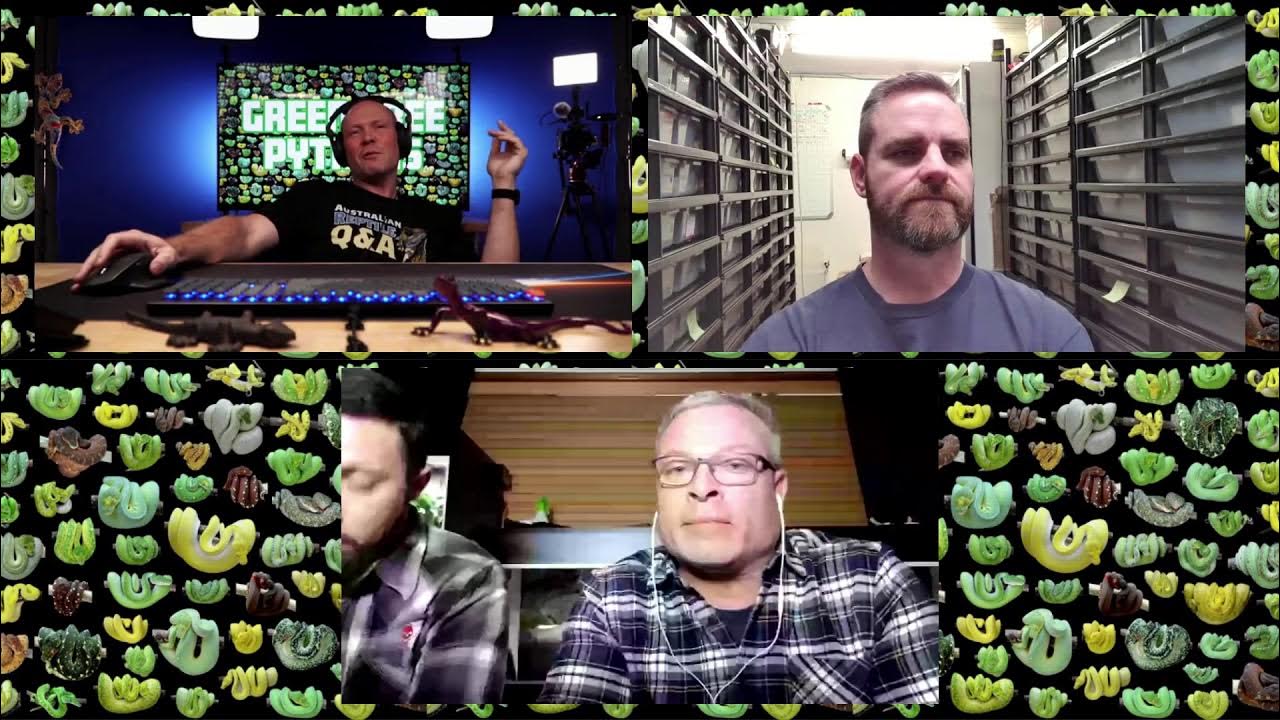 Australian Reptile Q&A : Green Tree Pythons - YouTube