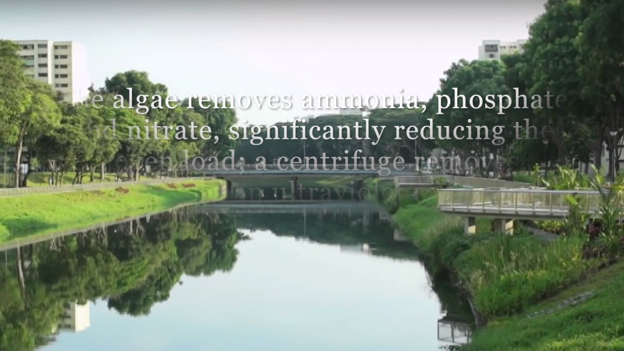 Where Is Genovia Located On The World Map - Map