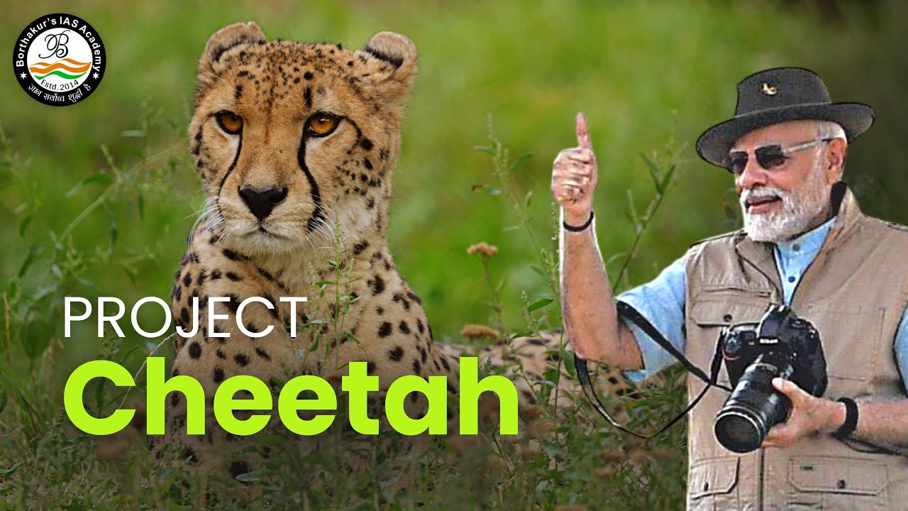 What is Project Cheetah ? | India & Namibia MOU - YouTube
