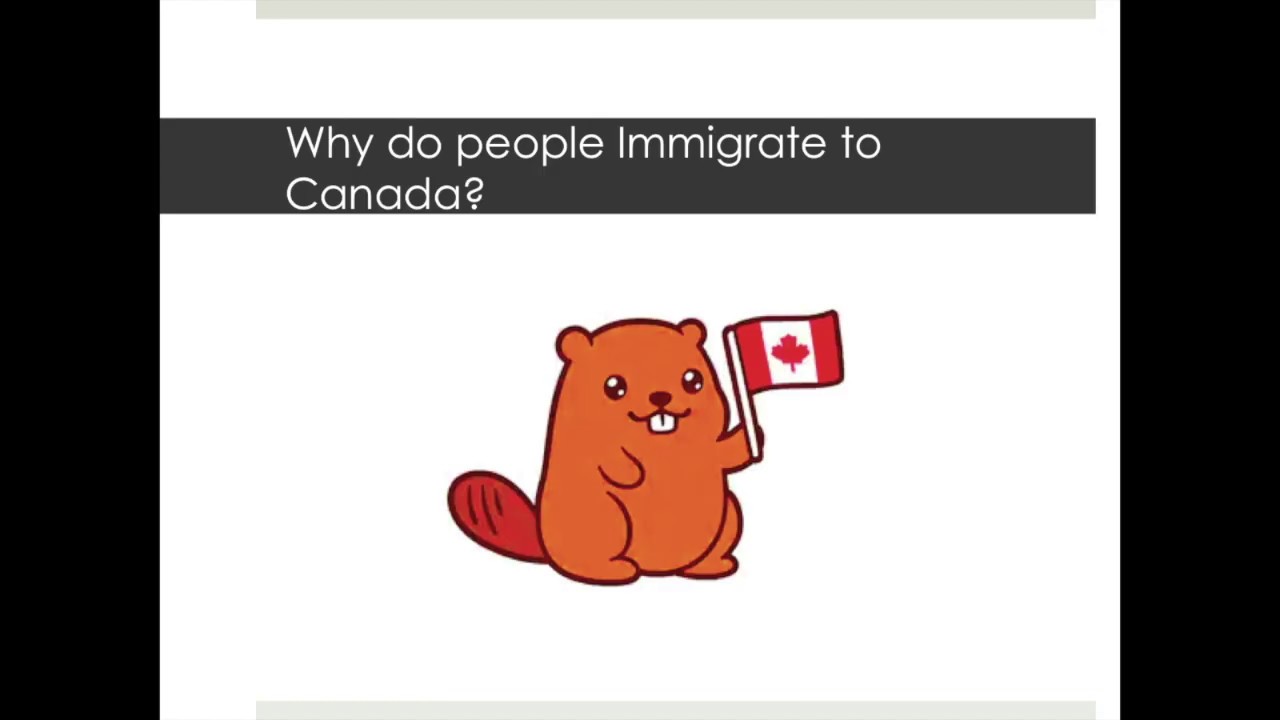 Social Studies Grade 9: Immigration in Canada Introduction. - YouTube