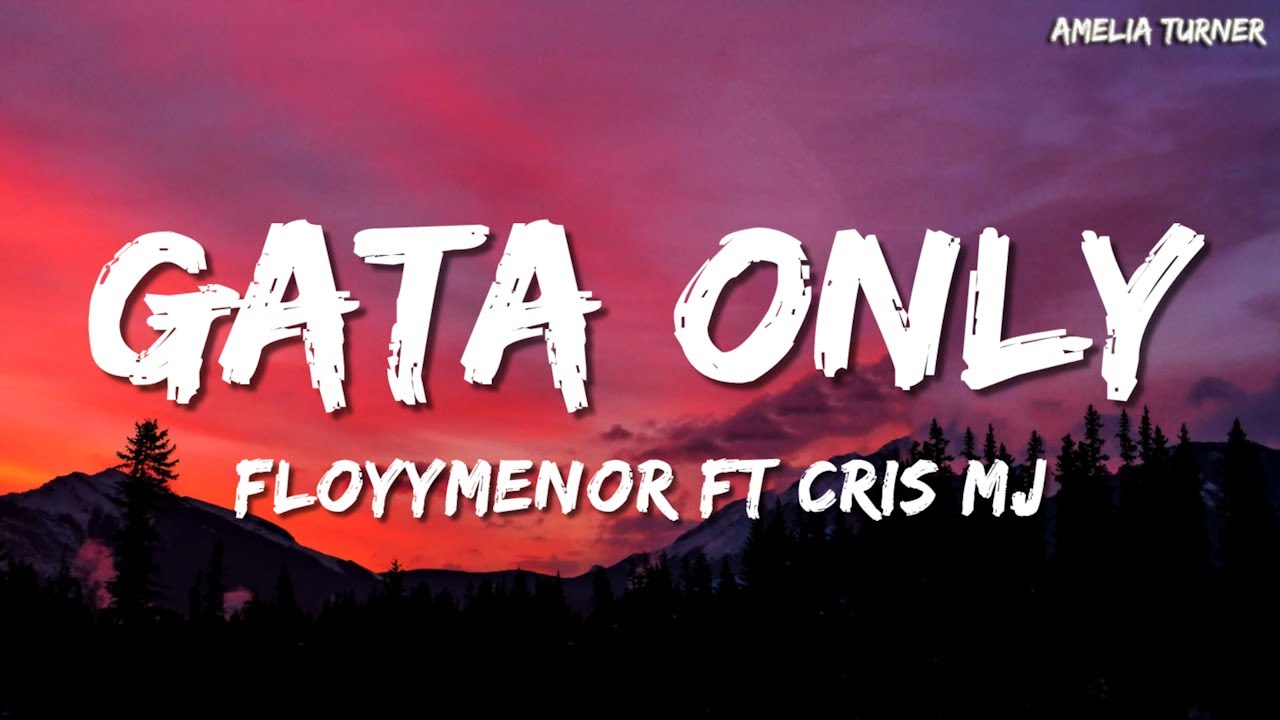 FloyyMenor - GATA ONLY ft. Cris MJ (Letra/Lyrics) - YouTube