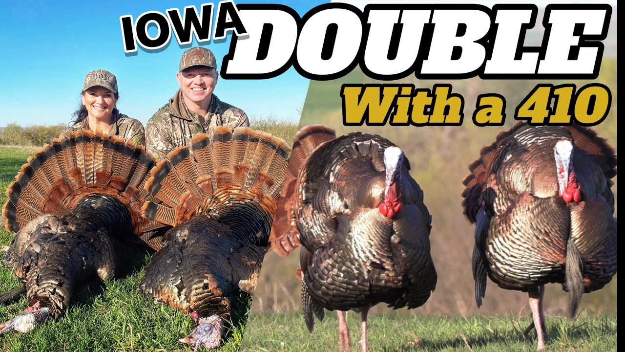 Iowa 4th Season Turkey Hunting Double 48 yard shot with a Steven’s 301T ...