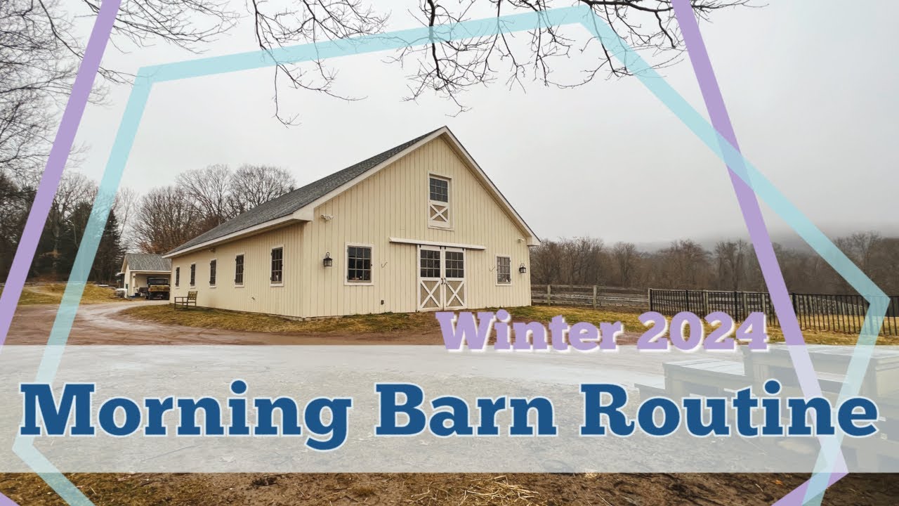 MY MORNING BARN ROUTINE: Feeding the Horses & Barn Chores | Winter 2024 ...