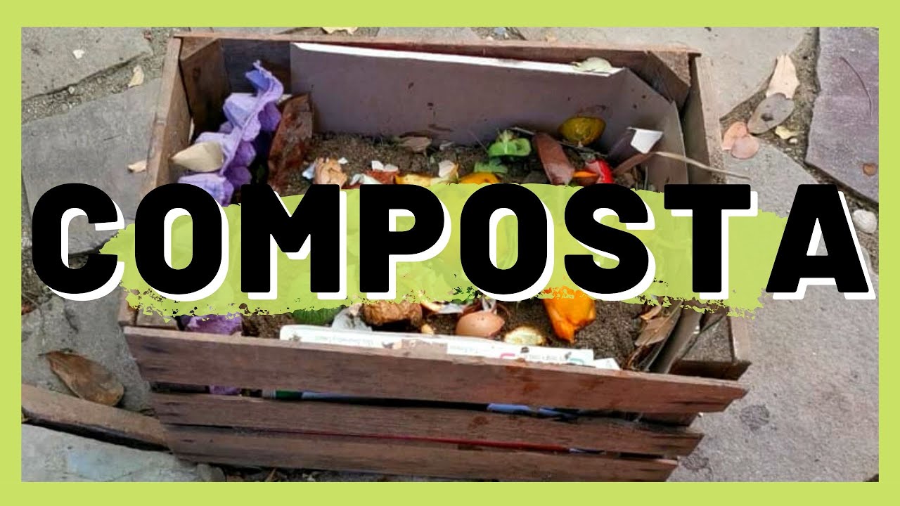 ¿CÓMO HACER COMPOSTA CASERA? ¡Hazla en 4 pasos fáciles! 🙊💚 - YouTube
