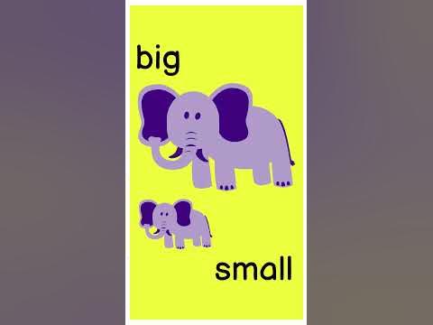 Big and Small - YouTube