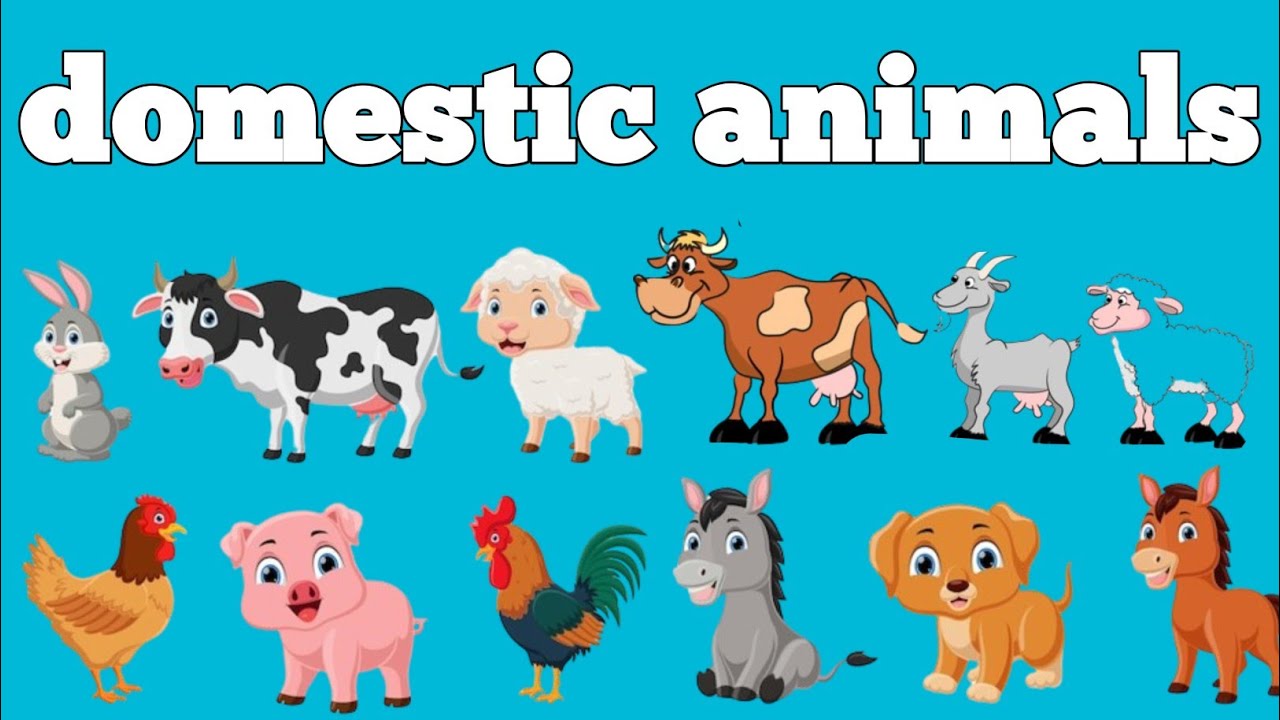 DOMESTIC ANIMALS l learn domestic animal names with pictures for kids l ...