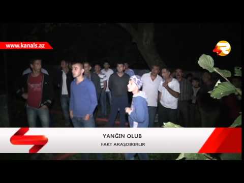 SHEKIDE TOVLE YANIB