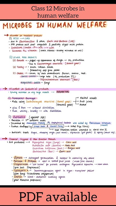 Class 12 Microbes in human welfare notes 📝 / Chapter 8 Biology one shot ...