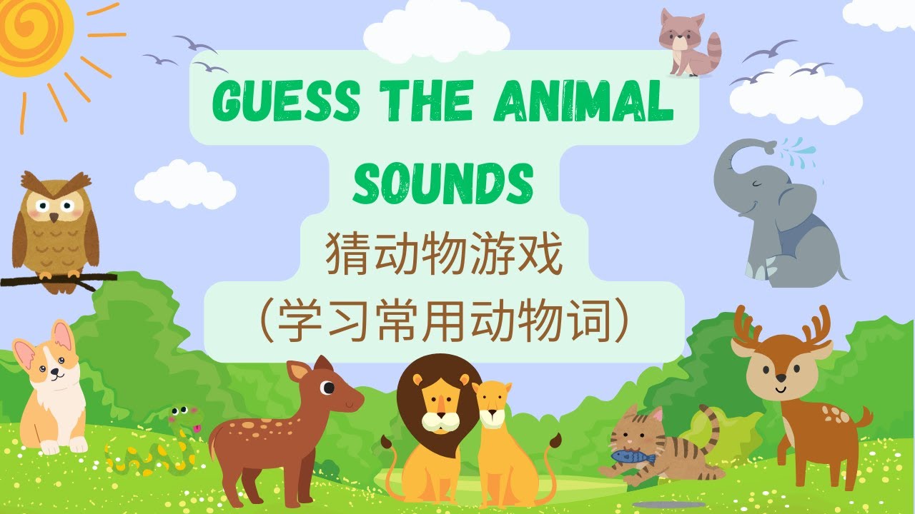 Learn Chinese Animal Vocabulary through “Animal Guessing Game” 趣味学中文动物词 ...