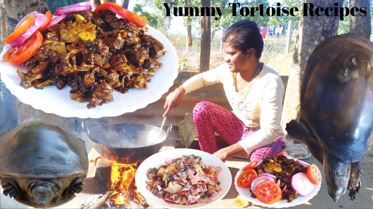 कछुआ मीट बनाने का सही तरीका || The Right Way to Cook Turtle meat ...
