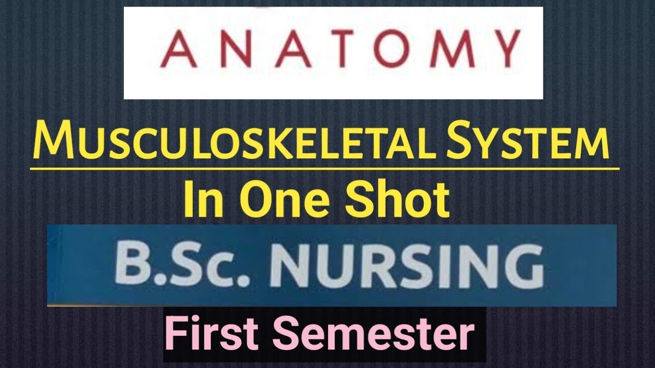 Musculoskeletal System in One Shot! 💪 Perfect for B.Sc. Nursing 1st ...
