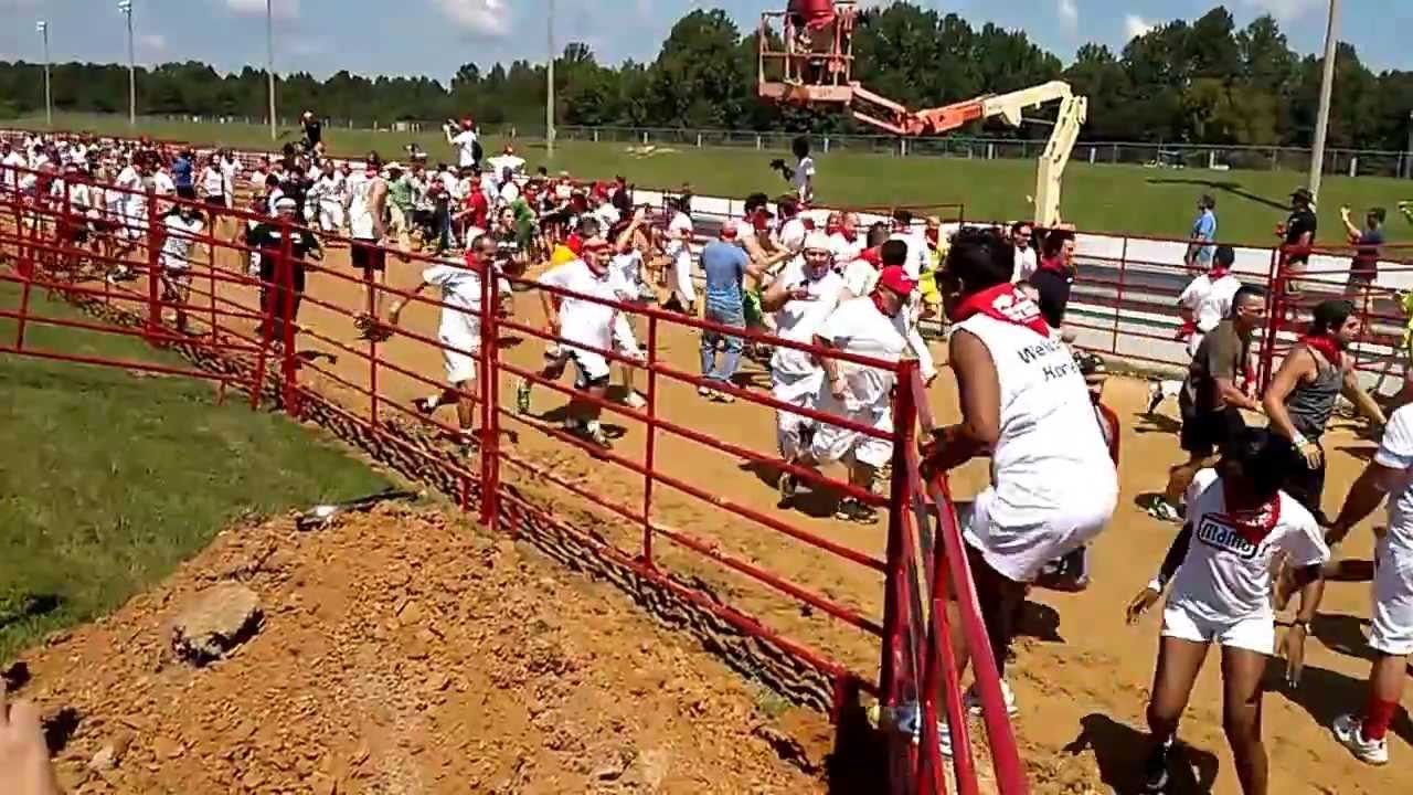 The Great Bull Run - YouTube
