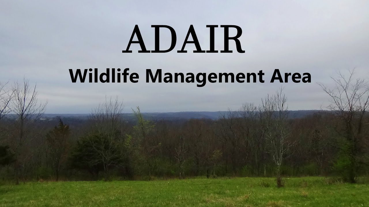 Adair Wildlife Management Area - YouTube
