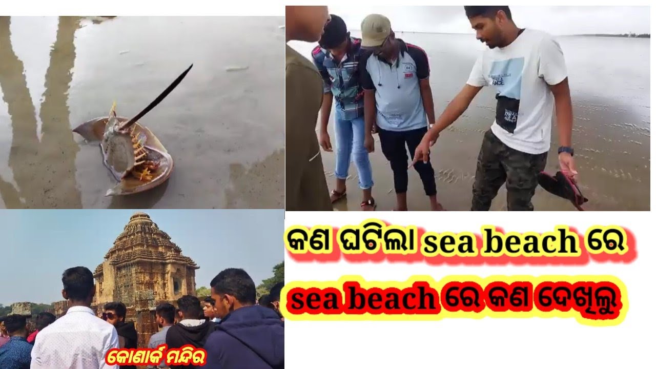 🙄Sea Beach ରେ କଣ ଘଟିଲା ||କଣ ଦେଖିଲୁ sea beach ରେ ||Papu lifestyle ...