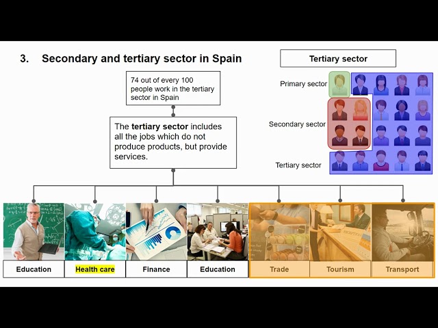 Tertiary Sector Health
