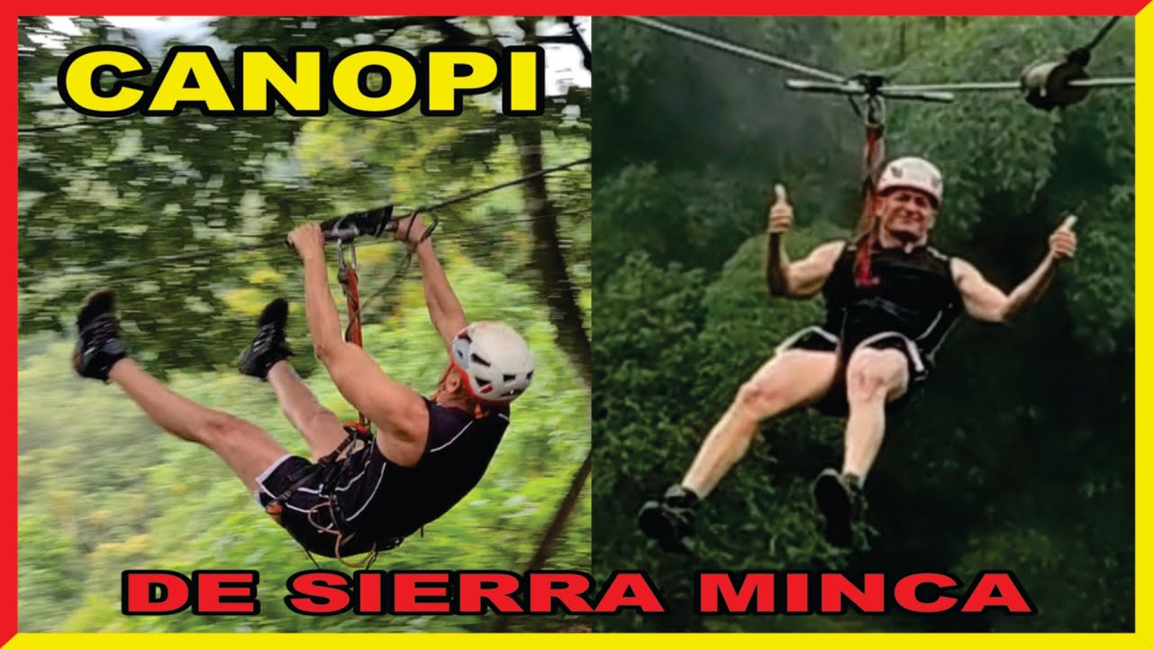 CANOPI DE SIERRA MINCA, SIERRA NEVADA DE SANTA MARTA - YouTube