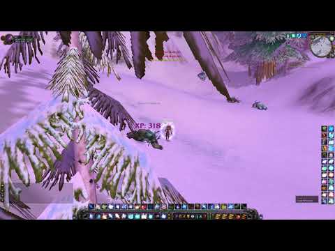 Wild Guardians 3/3 (Berserk Owlbeast) WoW Classic Quest - YouTube