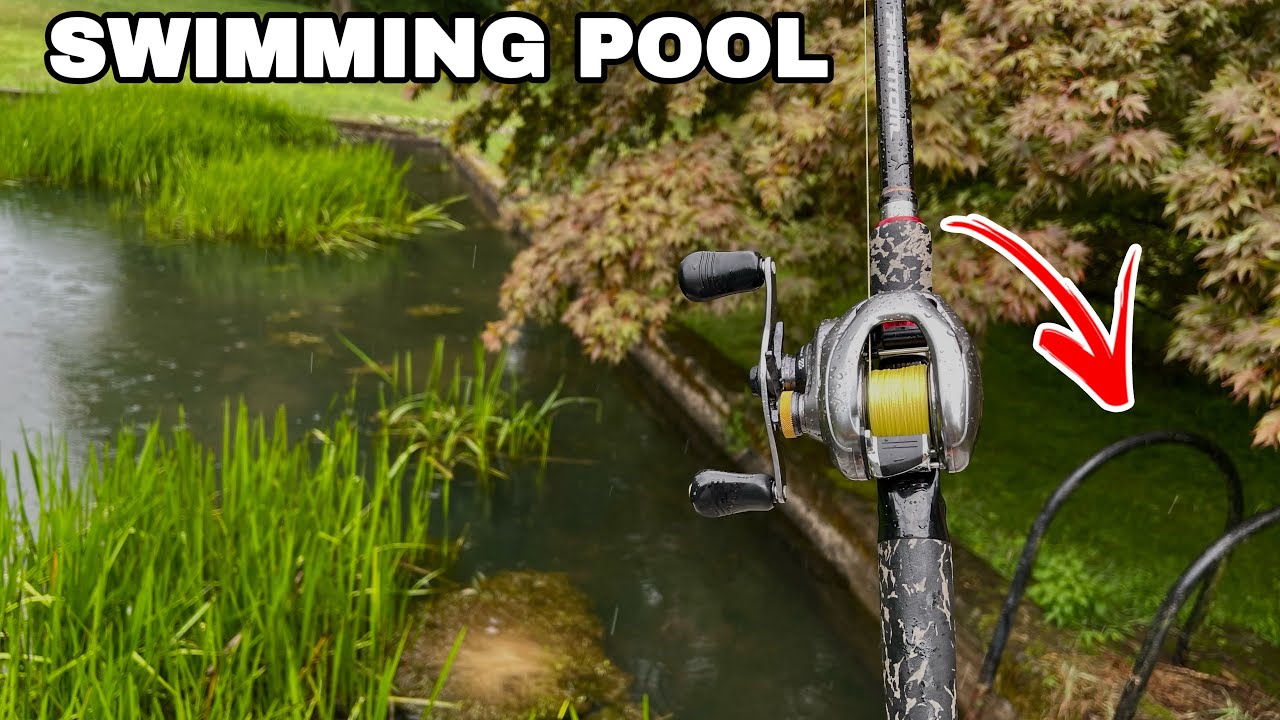 Fishing In OLD ABANDONED SWIMMING POOL (so many fish) - YouTube