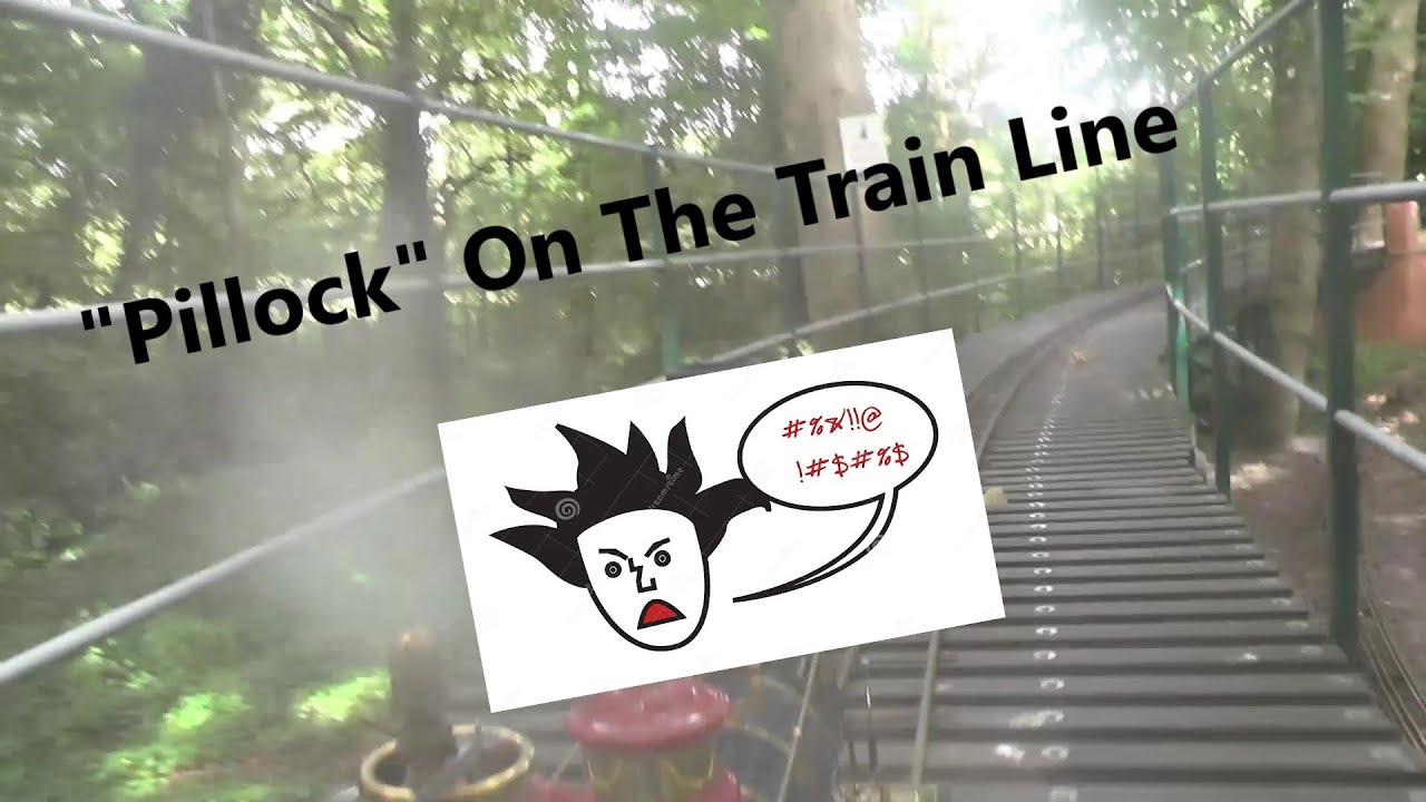 There's an Un-authorised Pillock on the Viaduct, (7.1/4" American Loco ...