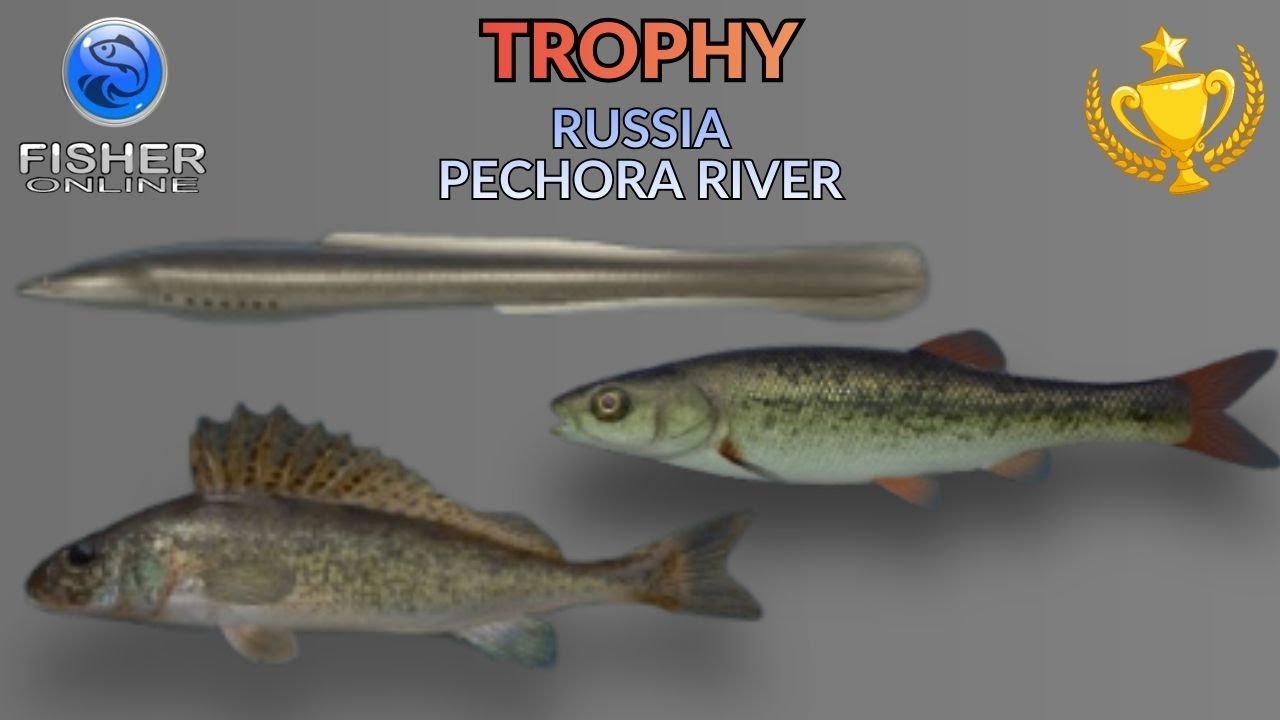 These 3 Trophy Spots on Pechora River Are Actually INSANE! (Lamprey ...