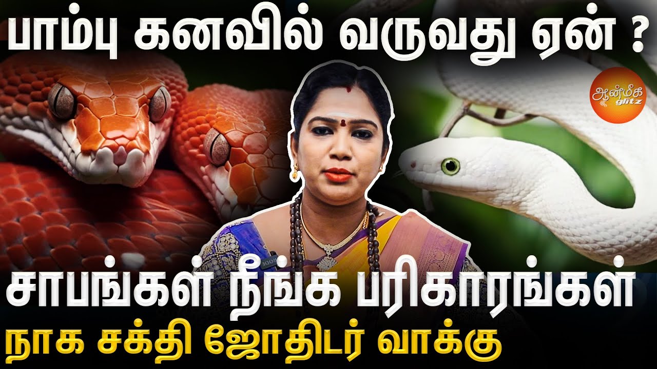 பாம்பு கனவில் வந்தால் என்ன நடக்கும் தெரியுமா? | Kanavil Pambu Vandhal ...