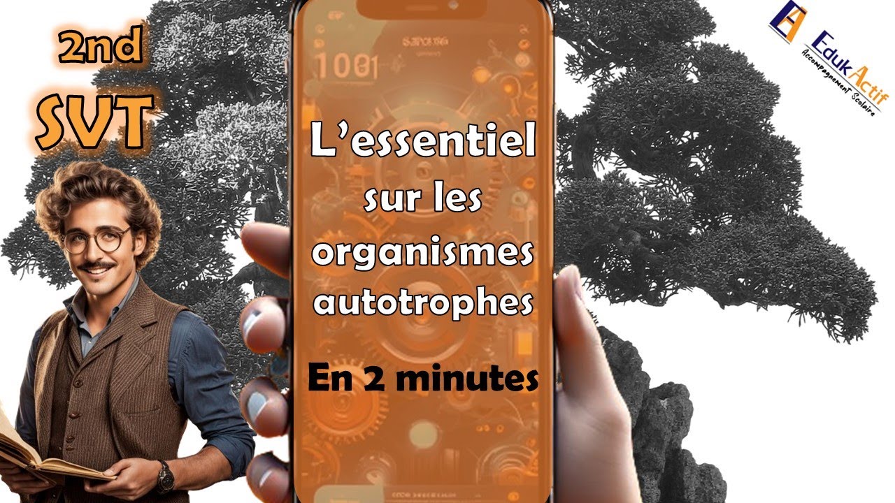 L'essentiel en 2 minutes sur les organismes autotrophes. | SECONDE ...