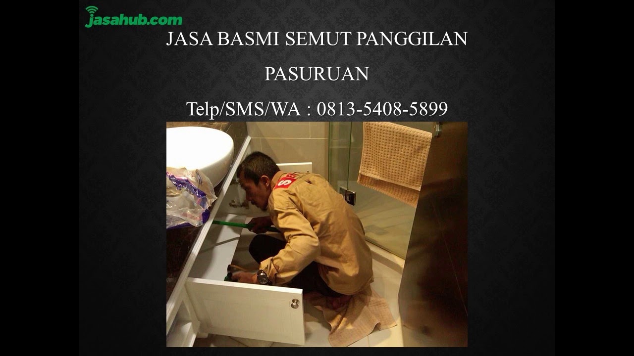 Telp/Wa 0813-5408-5899, Jasa Basmi Kutu Tinggi, Jasa basmi Kutu Tungau ...