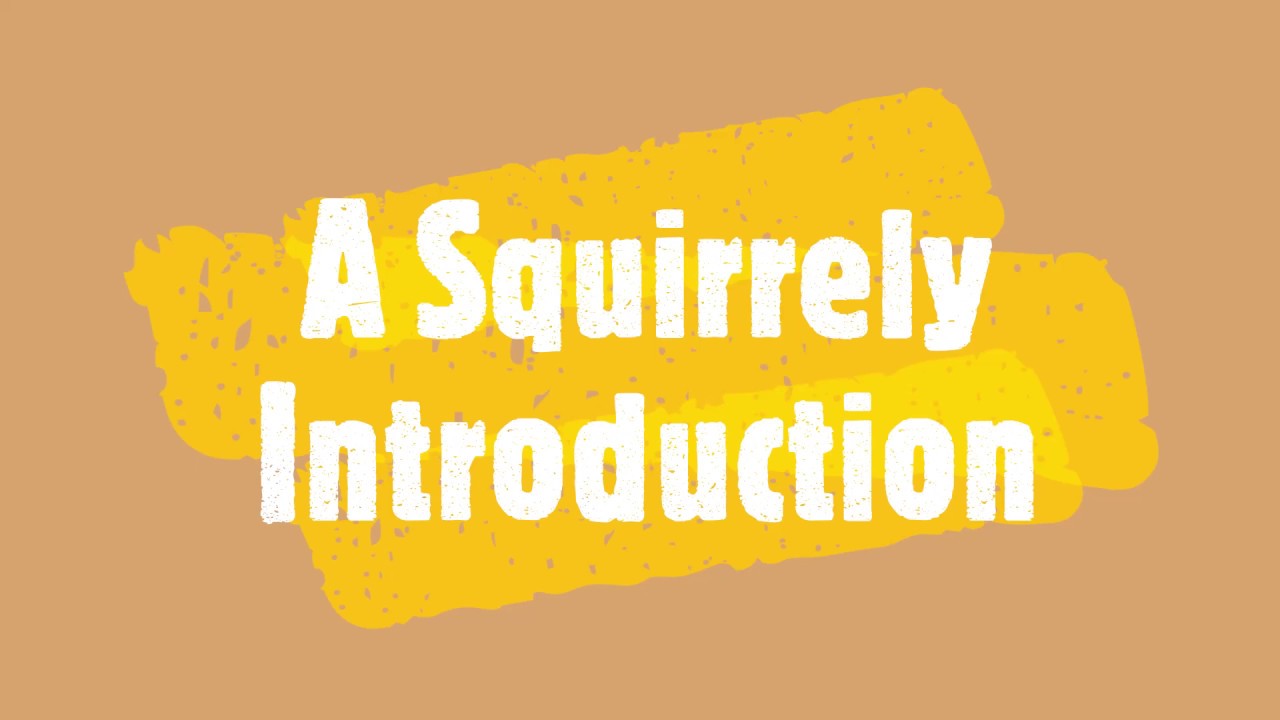A Squirrely Introduction - YouTube