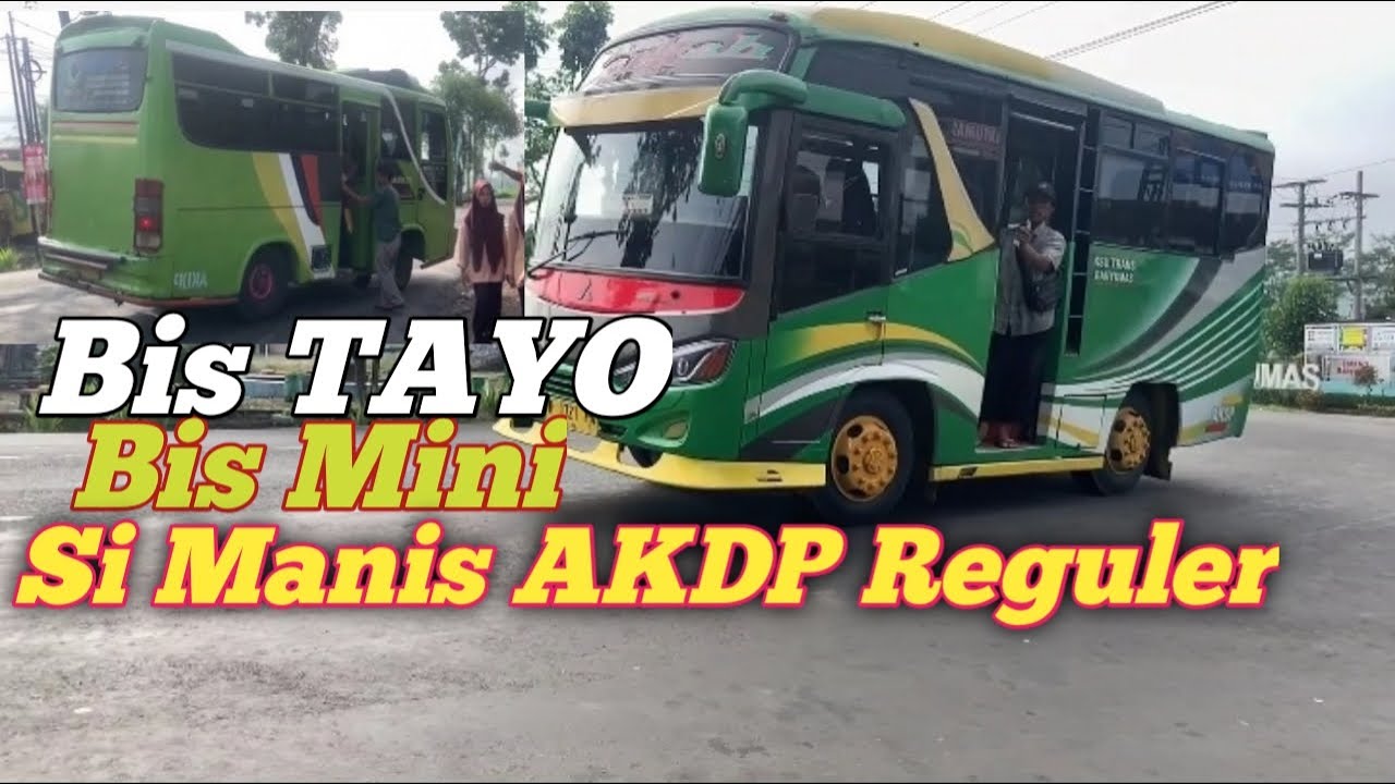 Unik,,Bis mini reguler!!Di sini untuk AKDP,di Sumatra buat AKAP - YouTube