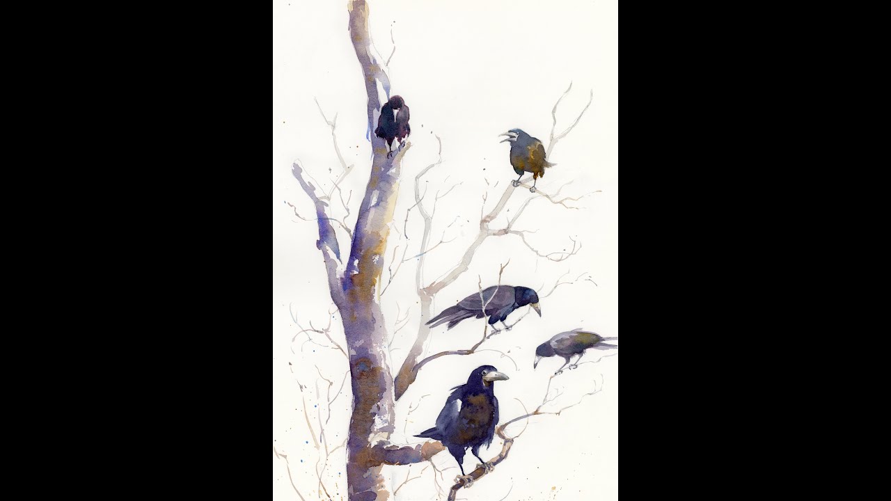 5 Rooks in a Tree - Crows in Watercolor - YouTube