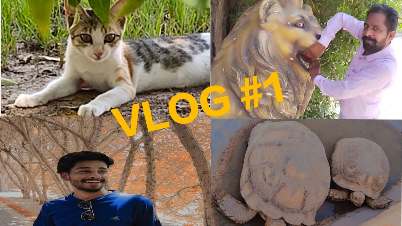BAHRAIN ZOO FULL ENJOY ALL ANIMALS FUNNY MOMENT | VLOG #1 #bahrain # ...