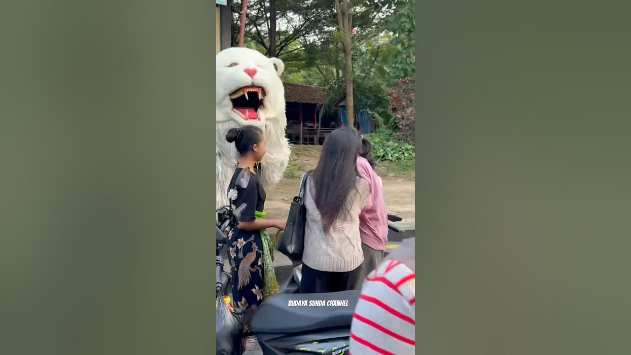 Cewek Cantik Pada Kabur Di Kejar Can Macanan!!! - YouTube