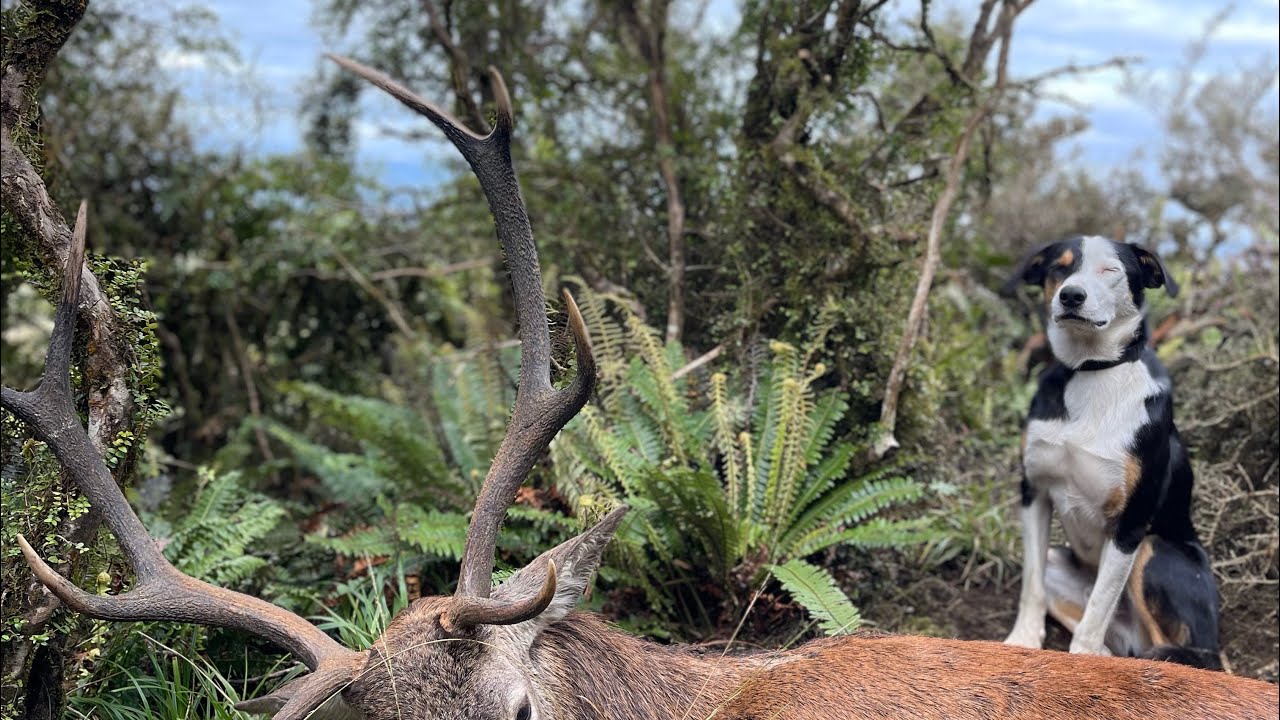 Cameron Pearce Hunting - YouTube