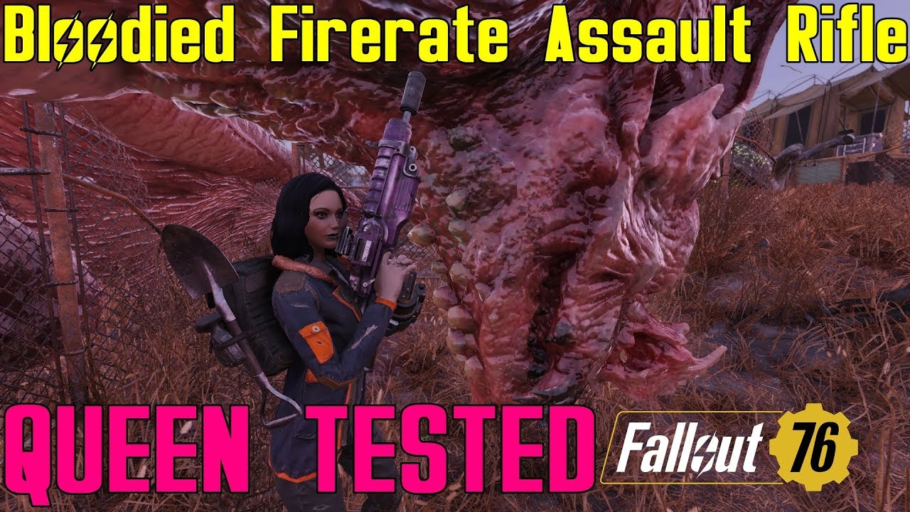 Fallout 76: Queen Tested: Bloodied Firerate Assault Rifle - YouTube