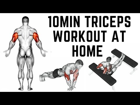 10min Triceps Workout at home | 6 Exercises for bigger triceps at home ...