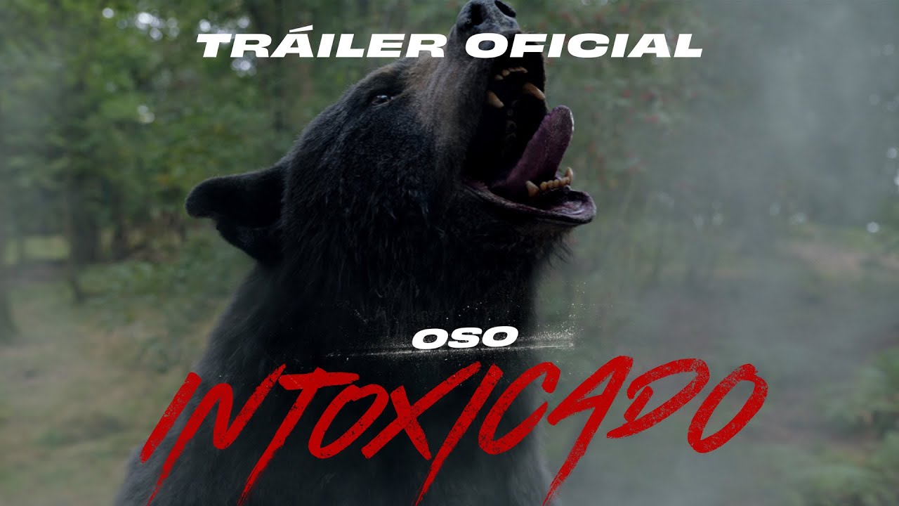 Oso Intoxicado - Tráiler Oficial (Universal Pictures) HD - YouTube