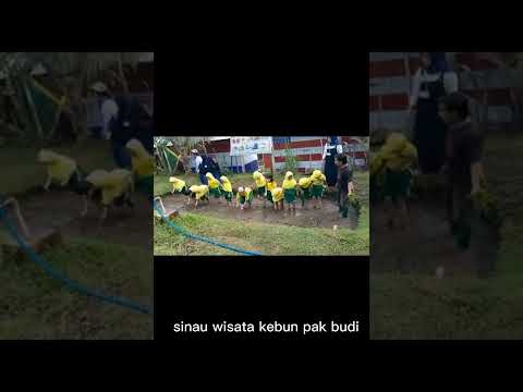 farahny dea ayuni 1A/11 \