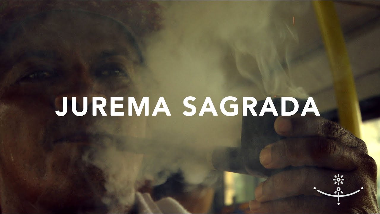 JUREMA SAGRADA (Híbridos, the Spirits of Brazil) - YouTube